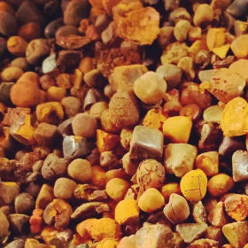 Canada Cow Gall Stones on Global Sources,ox gall stones,cow gall stones ...