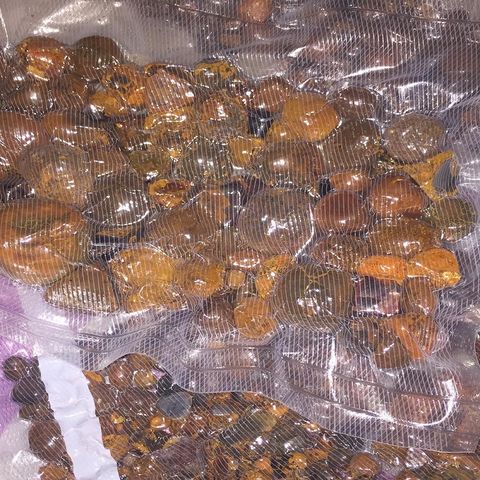 Canada Cow Gall Stones on Global Sources,ox gall stones,cow gall stones ...