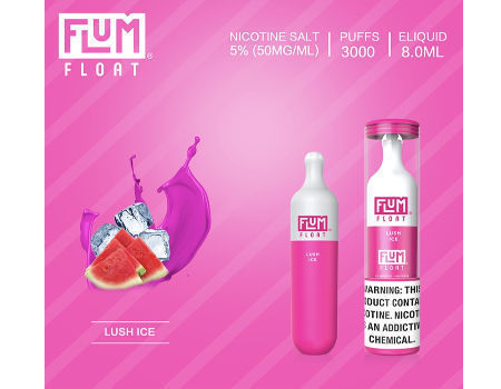 China Disposable Electronic Cigarette Flvm Float E Cigarette Device ...