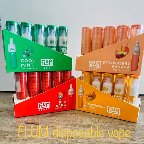 China Disposable Electronic Cigarette Flvm Float E Cigarette Device ...
