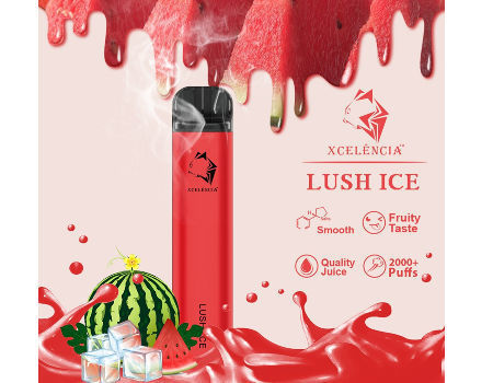 China Gunpod 2000 Puffs E-Cig Deivce with 1250mAh Battery 8ml Pod ...