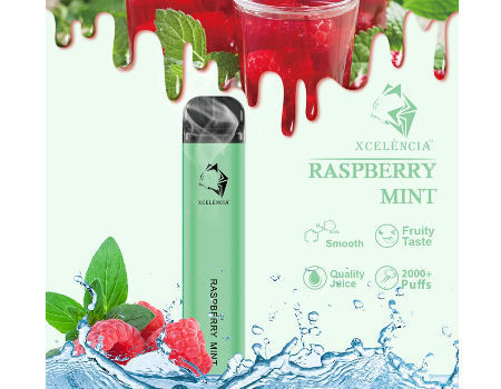 China Gunpod 2000 Puffs E-Cig Deivce with 1250mAh Battery 8ml Pod ...