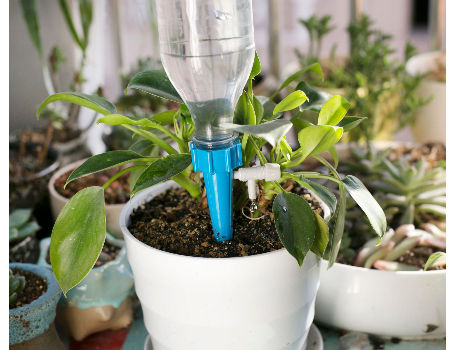 China 6PCS Water Dispenser Automatic Watering Adjustable Drop ...