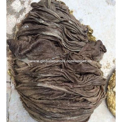 Canada Beef Omasum / Beef Omasum Tripe/Salted Beef Omasum on Global ...