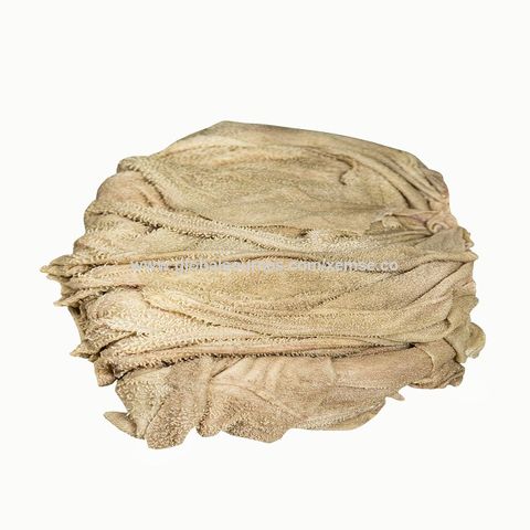 Canada Beef Omasum / Beef Omasum Tripe/Salted Beef Omasum on Global ...