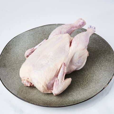 United States Frozen Whole Chicken on Global Sources,frozen chicken paw ...
