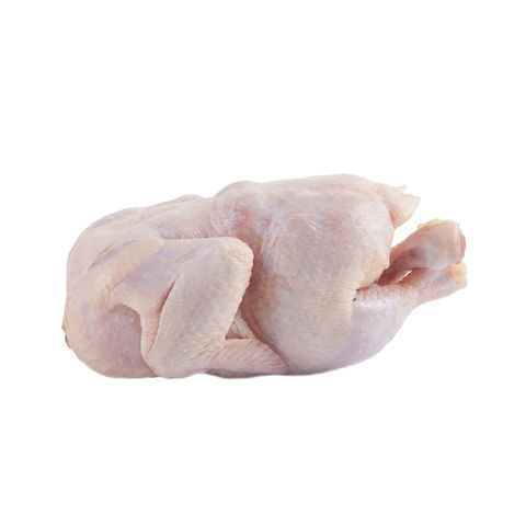 United States Frozen Whole Chicken on Global Sources,frozen chicken paw ...