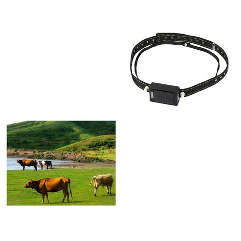 China Animal GPS Tracker for Cow Horse Cattle pet Tracking device Real ...