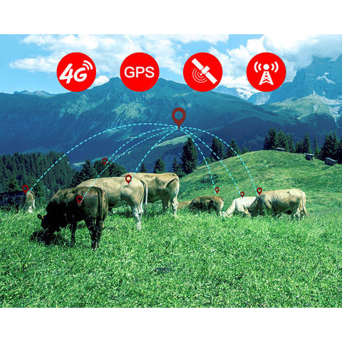China Animal GPS Tracker for Cow Horse Cattle pet Tracking device Real ...