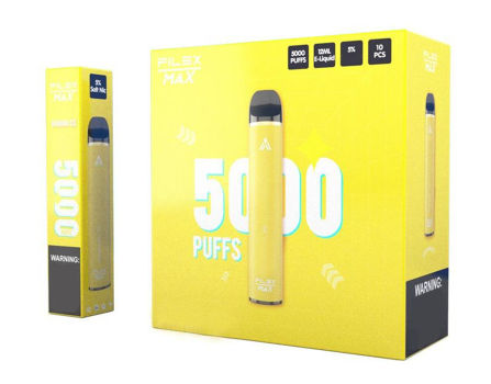 China 5000 Puffs 5% Nicotine Rechargeable Filex Max Disposable Vape Pen ...