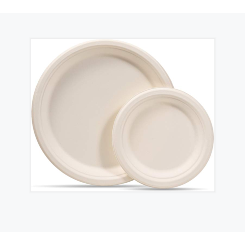 China Hot Sale Disposable Sugarcane Pulp Bagasse Paper Plates on Global ...