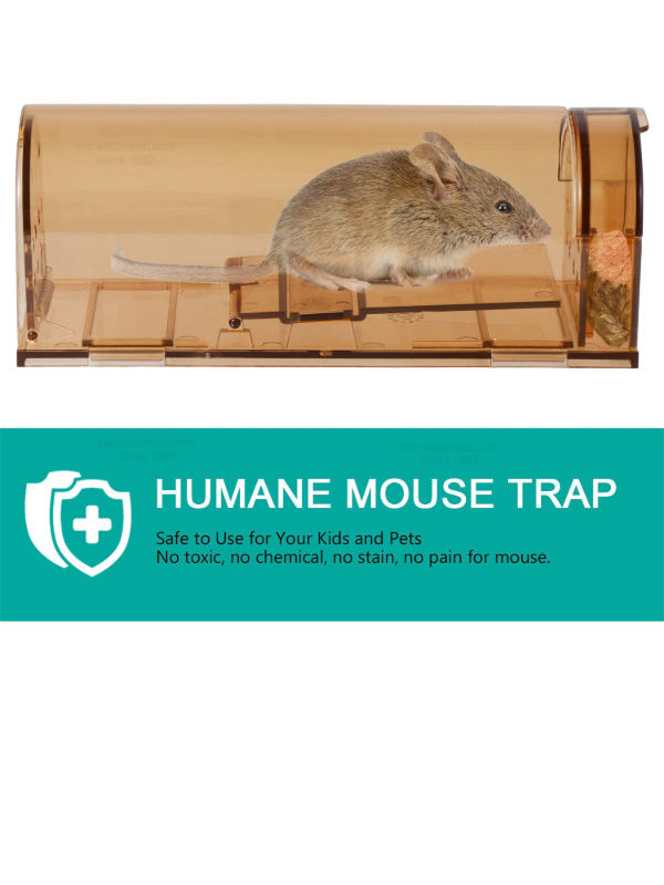 Alive Mouse Trap, reusable mouse trap mice trap cage trap - Buy China ...