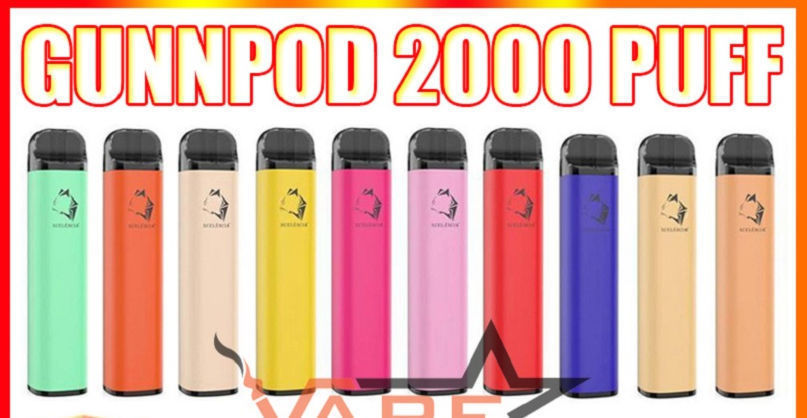China Unique design 2000 puffs vape pen Gunnpod disposable pod device ...