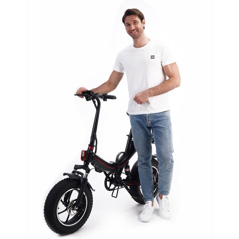 China 16 Inch Aluminum Alloy 500w 48v Electric Bicycle Foldable Fat ...