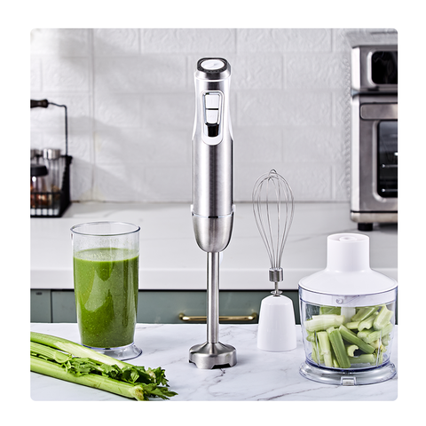 China House Kitchen Immersion Hand Blender 12 Speed Stainless Steel ...