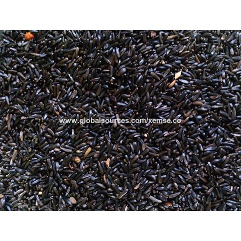 Canada Top selling ethiopian niger seed on Global Sources,Quality Niger ...