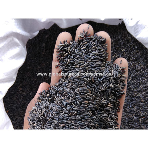 Canada Top selling ethiopian niger seed on Global Sources,Quality Niger ...