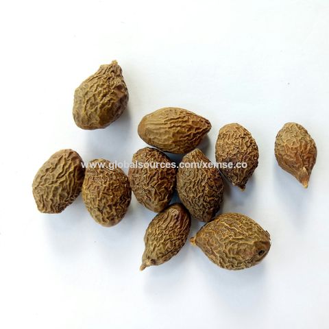 Canada Free design Scaphium scaphigerum Chrysanthemum private label ...