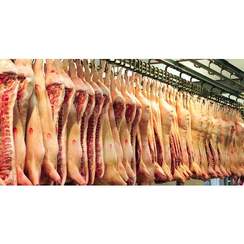 Belgium Halal beef carcass Frozen Pork carcass on Global Sources,beef ...
