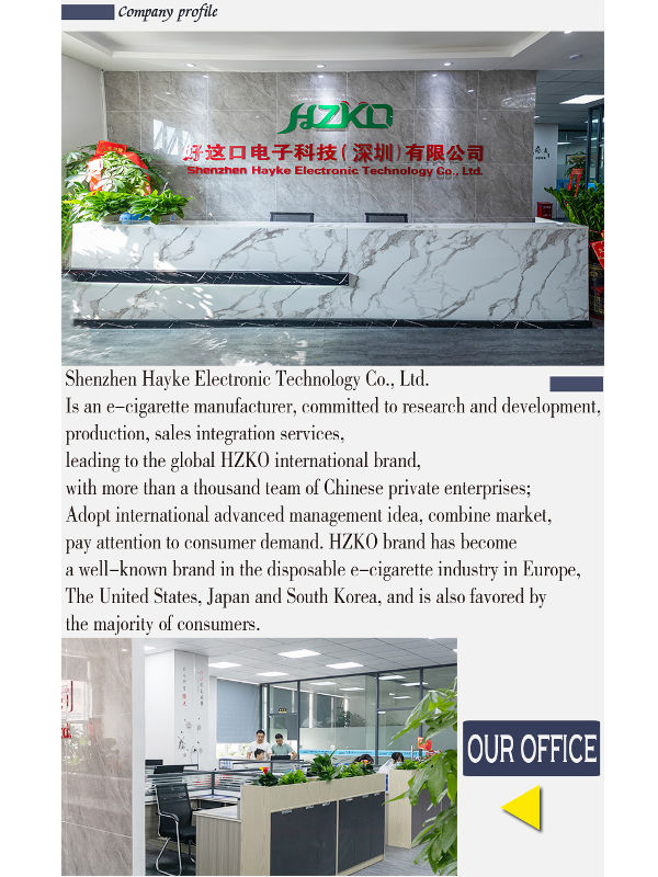 China Rechargeable Disposable Electronic Cigarette vape kit HZKO FLYNN ...
