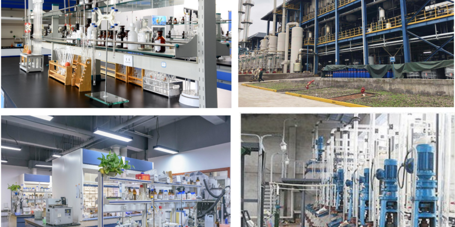 China 99% purity Ambroxide /Ambrox CAS 6790-58-5 raw powder for Flavors ...