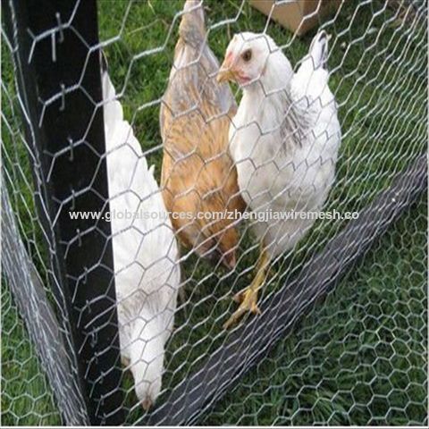 China Galvanized chicken wire mesh on Global Sources,Hexagonal wire ...