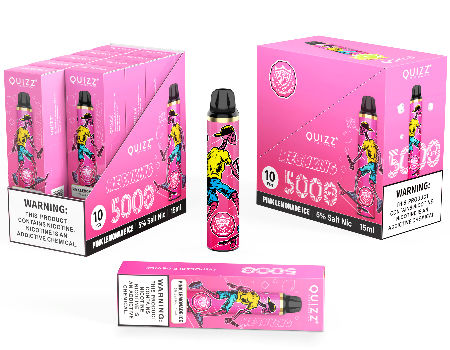 China Quizz 5000puffs 12 Flavors Rechargeable Mesh Coil Disposable Vape ...