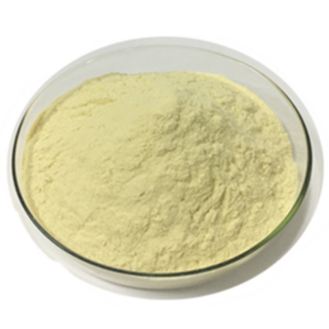 China Kava extract 30% Kavalactone on Global Sources,Kava extract