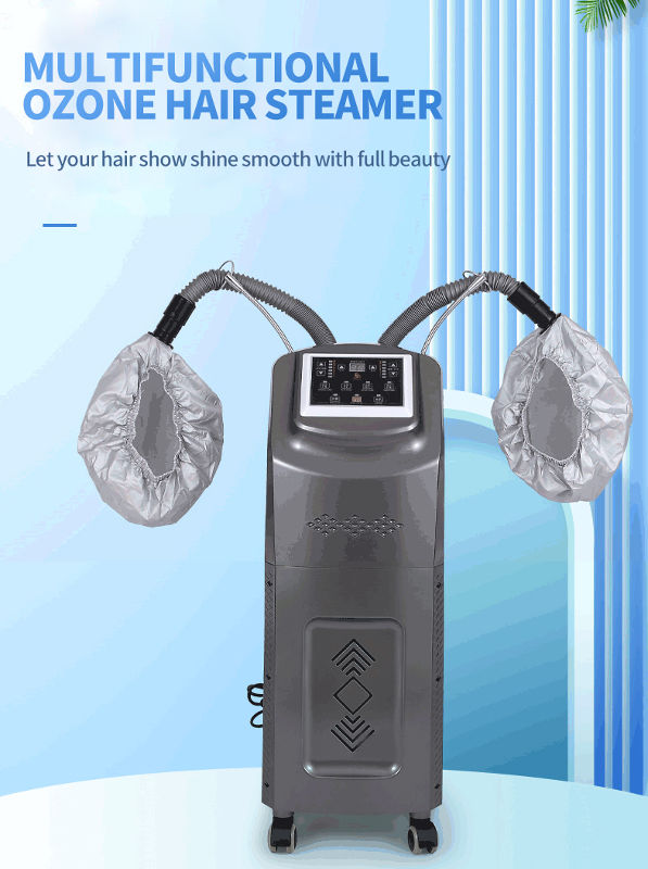 Professional Hair Micromist Therapy Hair Steamer Barber Shop Moisture ...