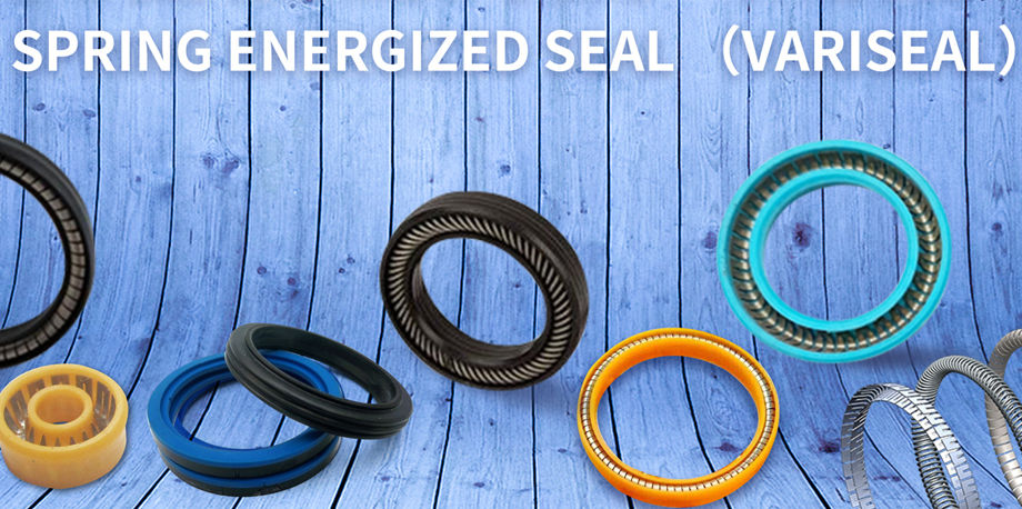 O-rings spring energized seal gasket seals PTFE Teflon PEEK Seal ...