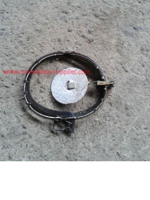 China Wildlife Body Gripping Live Catch Conibear Metal Traps on Global ...