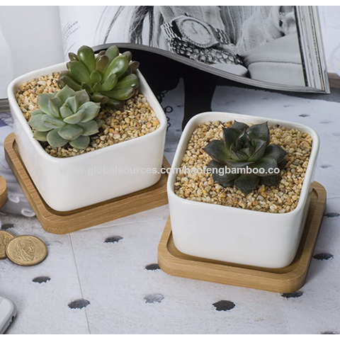 China Ceramic Contemporary Square Design Succulent Plant Pot Cactus ...