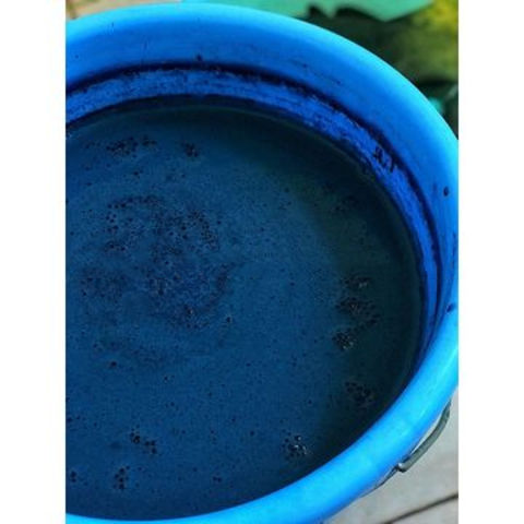China Indigo Food colorant, one of the oldest pigments known to man on ...