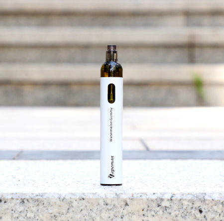 China VAPEMAN V2 2500 Puffs 700mAh Rechargeable Battery 50mg Nic ...