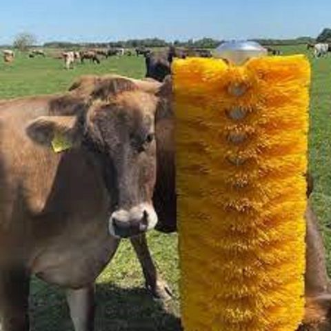 United States NEW BOUMATIC COW BRUSH AVAILABLE on Global Sources,animal ...