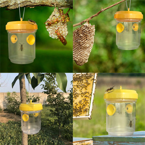 China Fly Wasp Trap Fruit Flies Insect Bug Hanging Tree Honey Catcher ...
