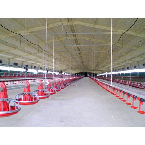 China Turnkey project for poultry farm design ready made poultry farm ...