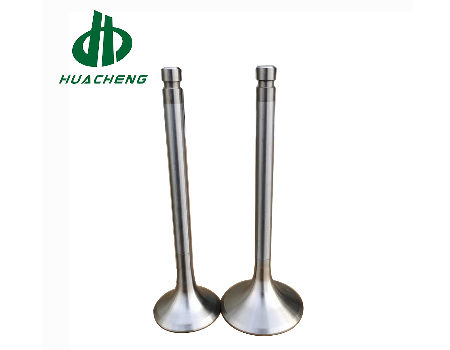 China High quality Mercedes truck engine valve, engine parts ...
