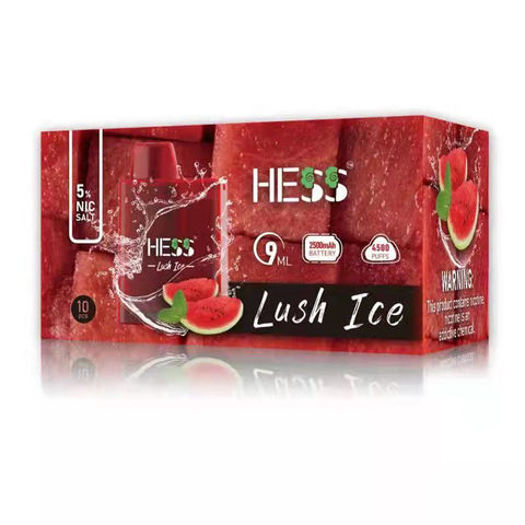 China Extra large capacity vape pen HESS4500puffs Electronic cigars ...