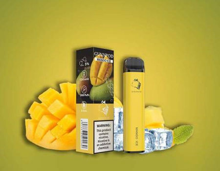 China China factory direct sale dispoable vape pod Gunnpod electronic ...
