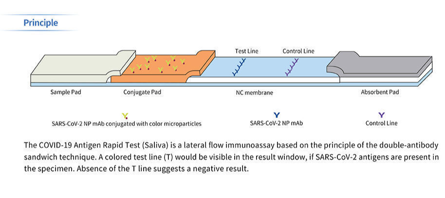 Getein CE 1434 antigen rapid self-test kit, rapid self-test kit CE 1434 ...