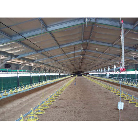 China Steel structure poultry house construction poultry farming house ...