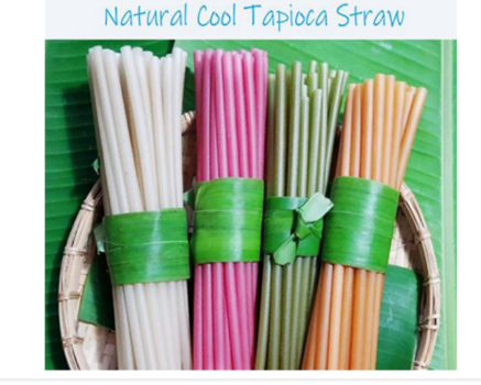 Rice straws biodegradable 100% Editable Eco friendly Disposable, RICE ...