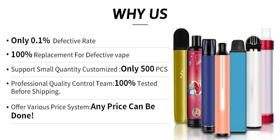 China Top Quality Disposable Electric Cigarette 750 Puffs 2.6ml E-juice ...