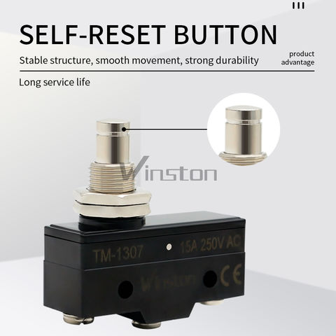 China TZ Series Micro Limit Switch Long Straight Hinge Lever for ...