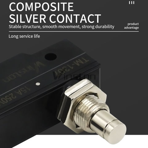 China TZ Series Micro Limit Switch Long Straight Hinge Lever for ...