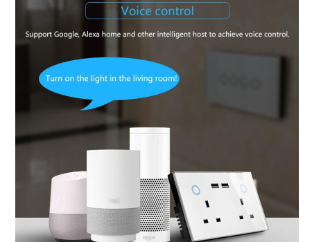 UK Standard Tuya WiFi Voice Control Touch Glass Panel Double USB ...