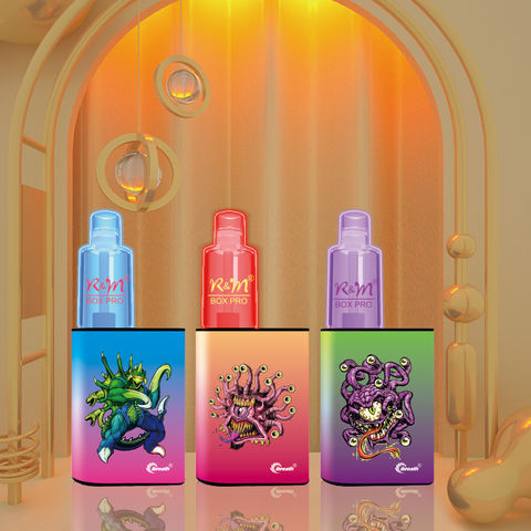 China Original Manufacturer R&M Box Pro Rechargeable Refillable ...
