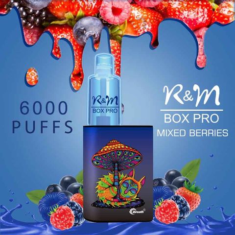 China Original Manufacturer R&M Box Pro Rechargeable Refillable ...