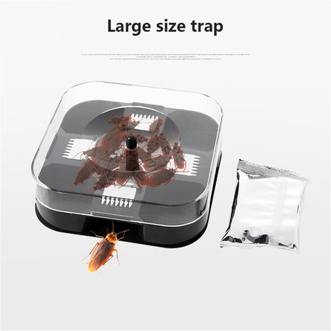 China Kitchen Household Large Cockroach Traps Cockroach Trap ...